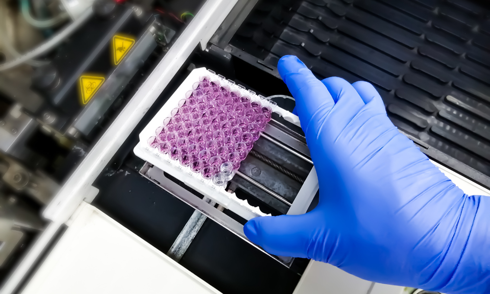 Pyrogen and Endotoxin Testing in Medical Device Development