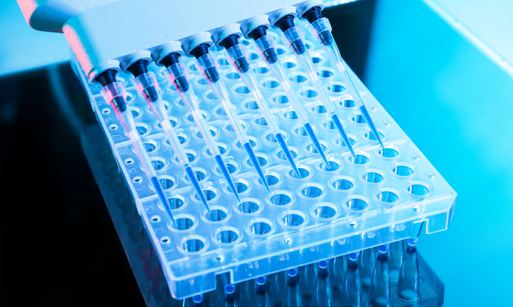 Cell-Based Assays | Cell Culture & Tissue Services | iFyber